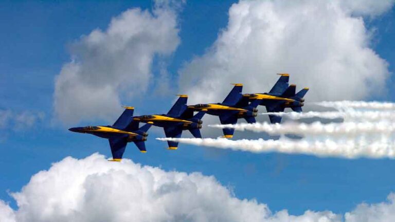 Thank God For “The Sound Of Freedom”: Thunderbirds And Blue Angels ...